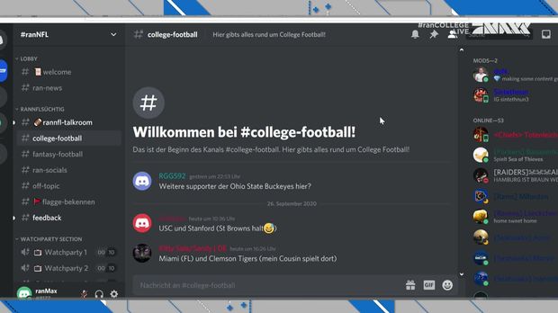 rannfl-discord-diese-spiele-zeigt-rannfl-an-weihnachten-willkommen